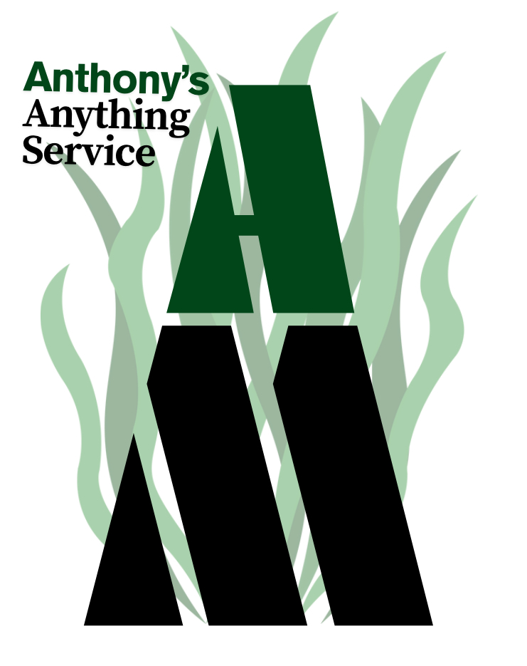 Anthony's Anything Service | Student-Run Professional Services
